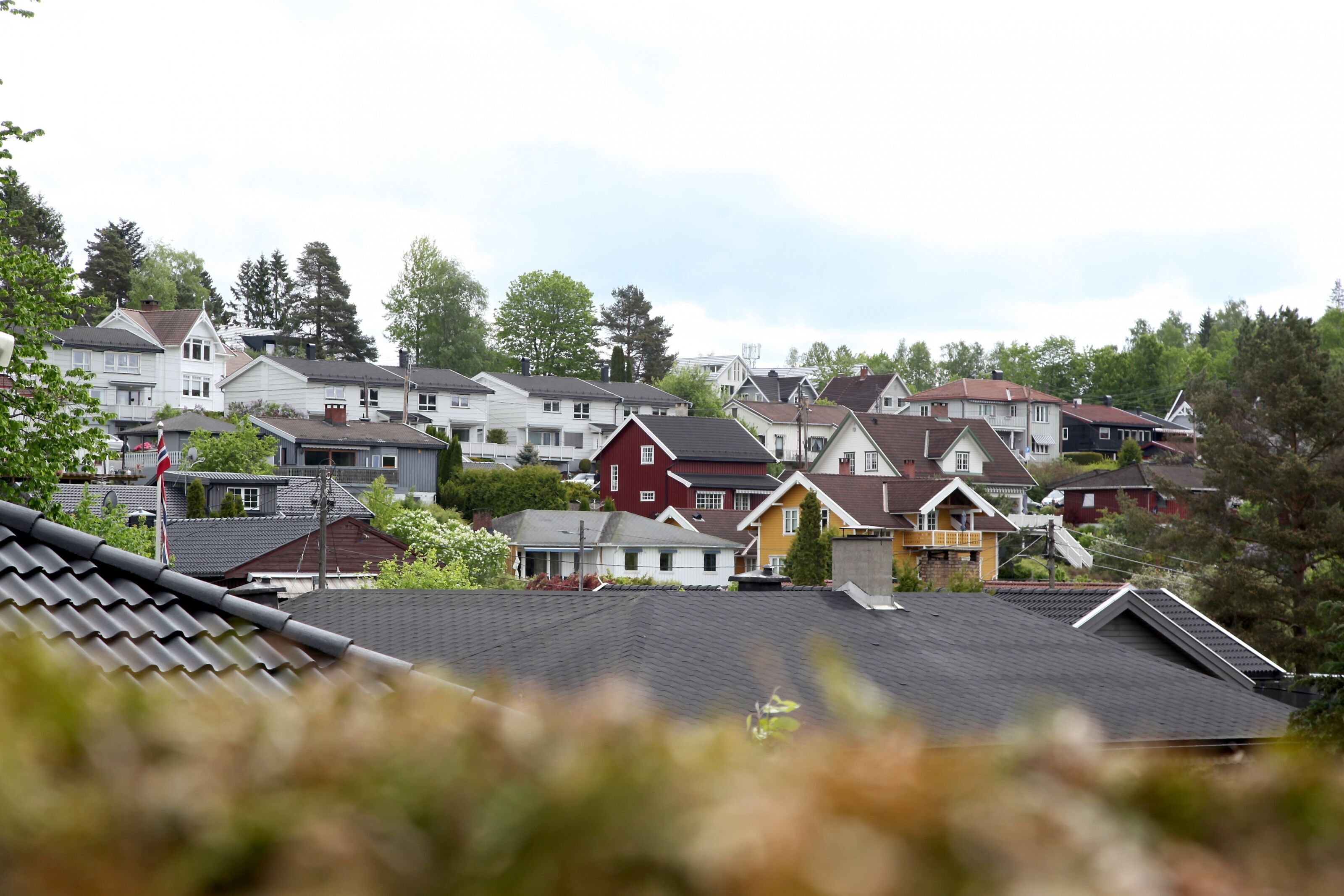 Dette mener Groruddalen Miljøforum om småhusplanen