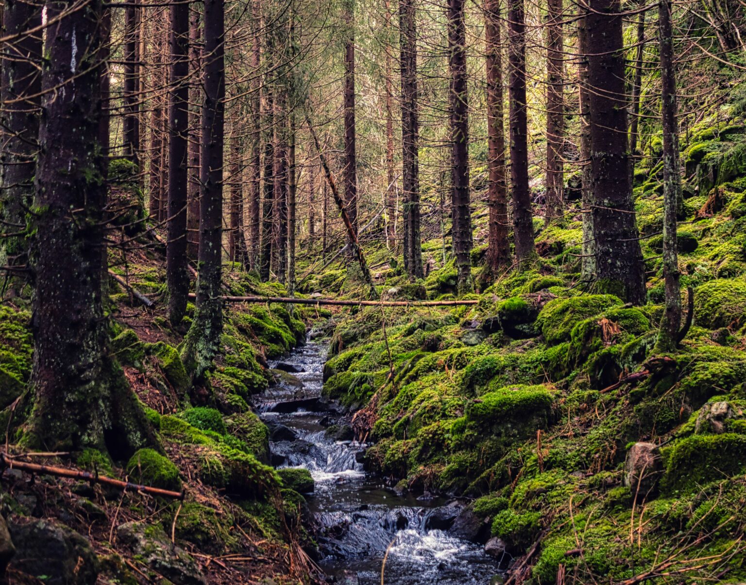 Om Groruddalen Miljøforum – Groruddalen